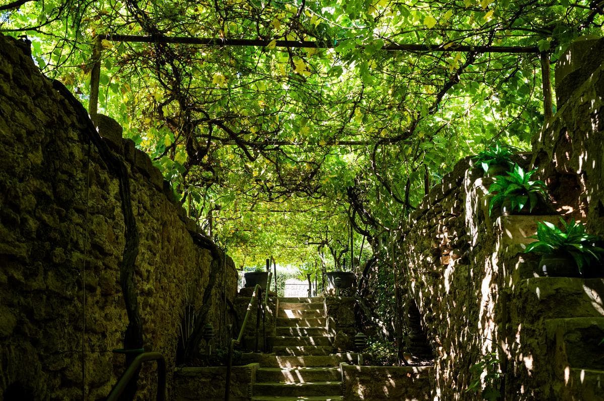 Central Valley’s Best Pumpkin Patches - Experience California Agriculture
